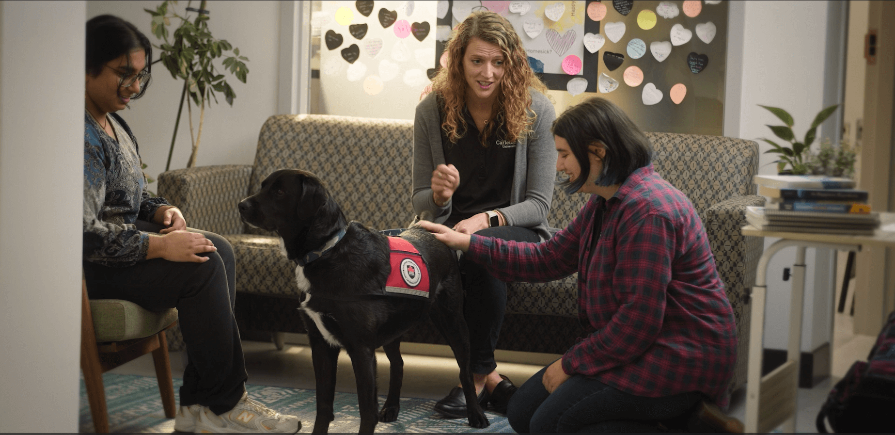 Therapy Dog Convocation - Mental Health and Wellness % - Wellness ...