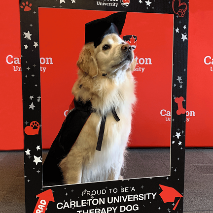 Therapy Dog Convocation - Mental Health and Wellness % - Wellness ...